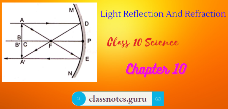 NCERT Solutions For Class 10 Science Chapter 10 Light-Reflection And ...
