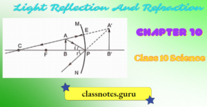 NCERT Solutions For Class 10 Science Chapter 10 Light-Reflection And ...