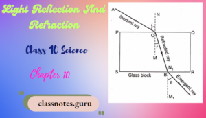 NCERT Solutions For Class 10 Science Chapter 10 Light-Reflection And ...