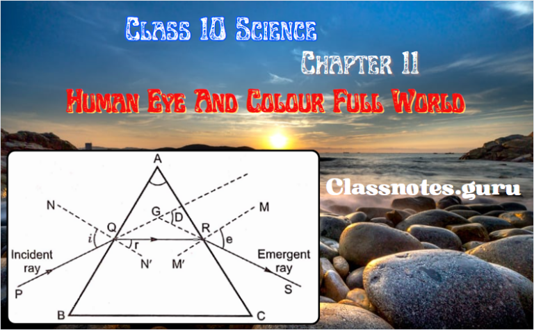 NCERT Solutions For Class 10 Science Chapter 11 Human Eye And Colourful ...
