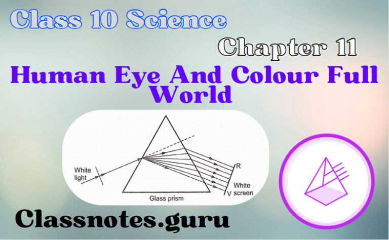 NCERT Solutions For Class 10 Science Chapter 11 Human Eye And Colourful ...