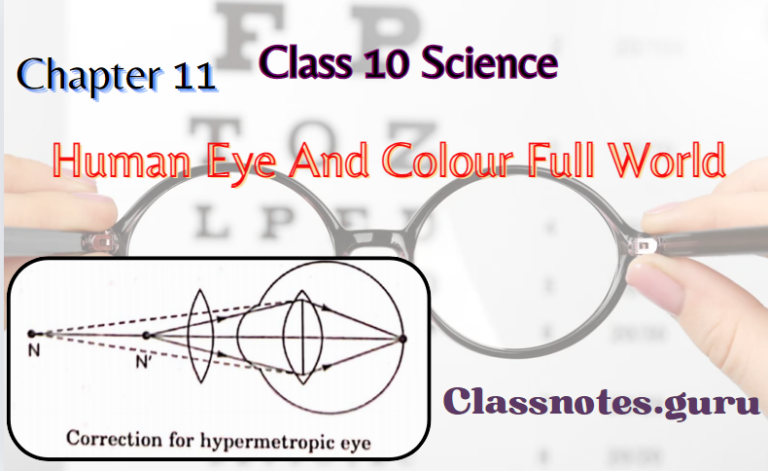 NCERT Solutions For Class 10 Science Chapter 11 Human Eye And Colourful ...