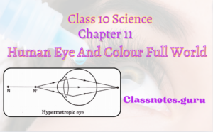 NCERT Solutions For Class 10 Science Chapter 11 Human Eye And Colourful ...