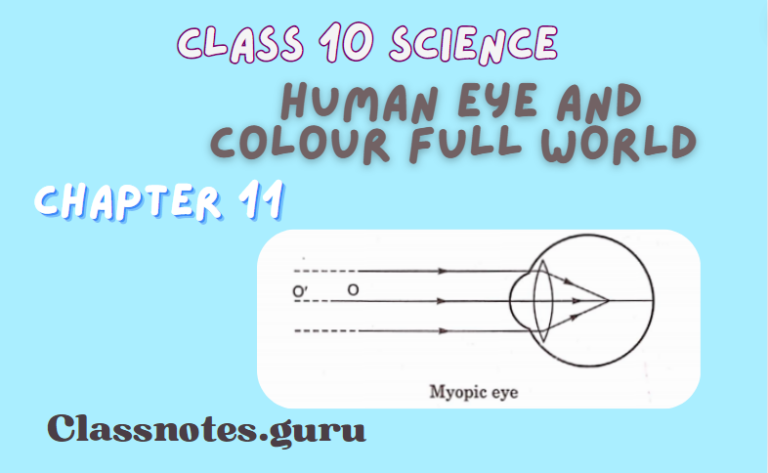 NCERT Solutions For Class 10 Science Chapter 11 Human Eye And Colourful ...