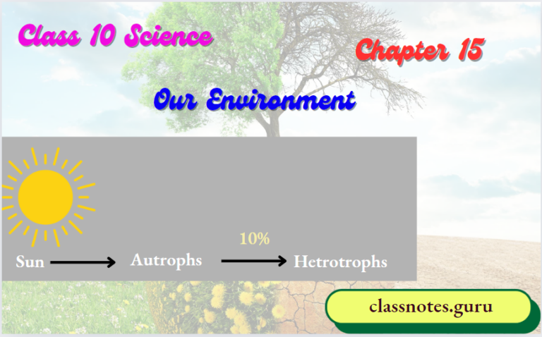 NCERT Solutions For Class 10 Science Chapter 15 Our Environment - Class ...