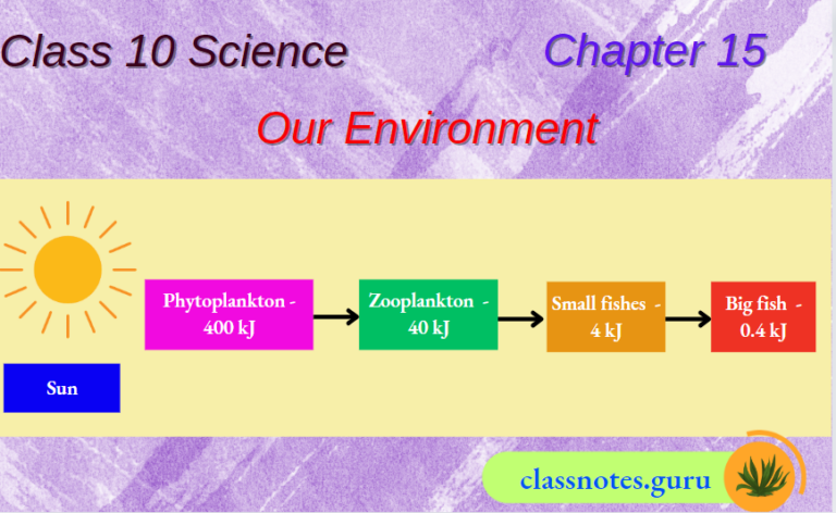 NCERT Solutions For Class 10 Science Chapter 15 Our Environment - Class ...