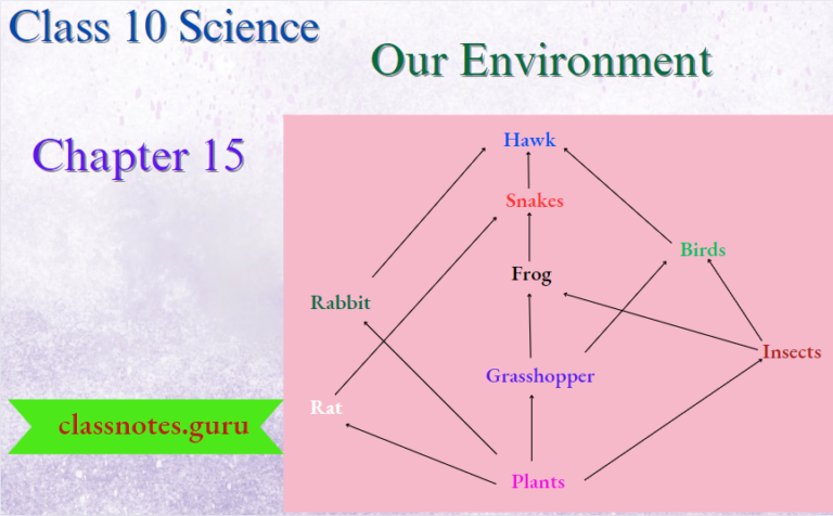 NCERT Solutions For Class 10 Science Chapter 15 Our Environment - Class ...