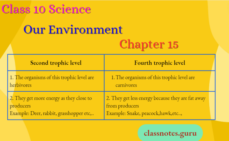NCERT Solutions For Class 10 Science Chapter 15 Our Environment - Class ...