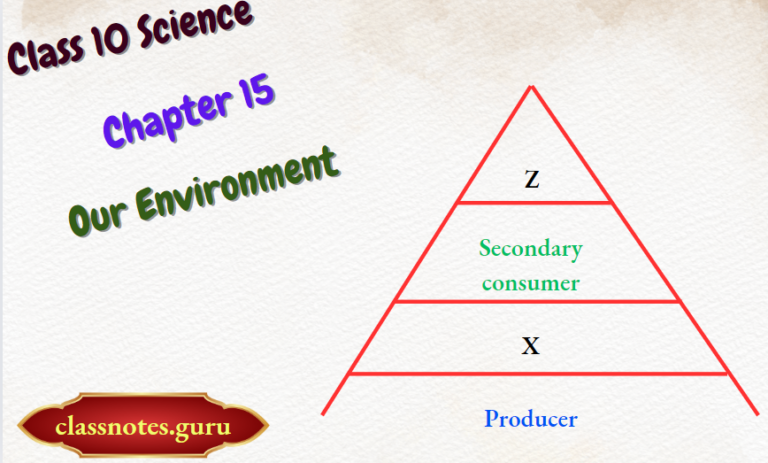 NCERT Solutions For Class 10 Science Chapter 15 Our Environment - Class ...