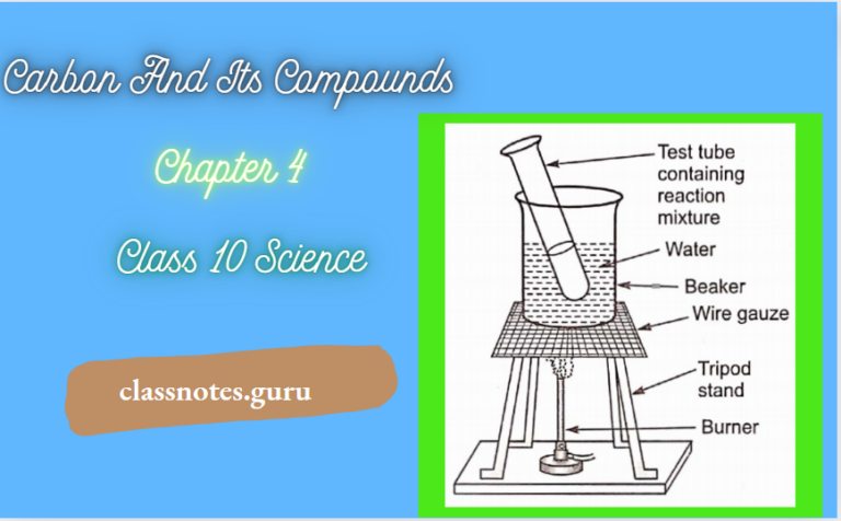 NCERT Solutions For Class 10 Science Chapter 4 Carbon And Its Compounds ...