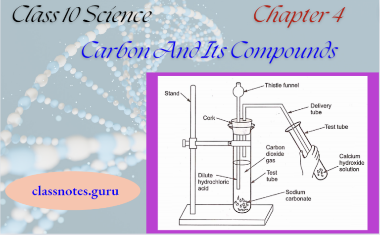 NCERT Solutions For Class 10 Science Chapter 4 Carbon And Its Compounds ...