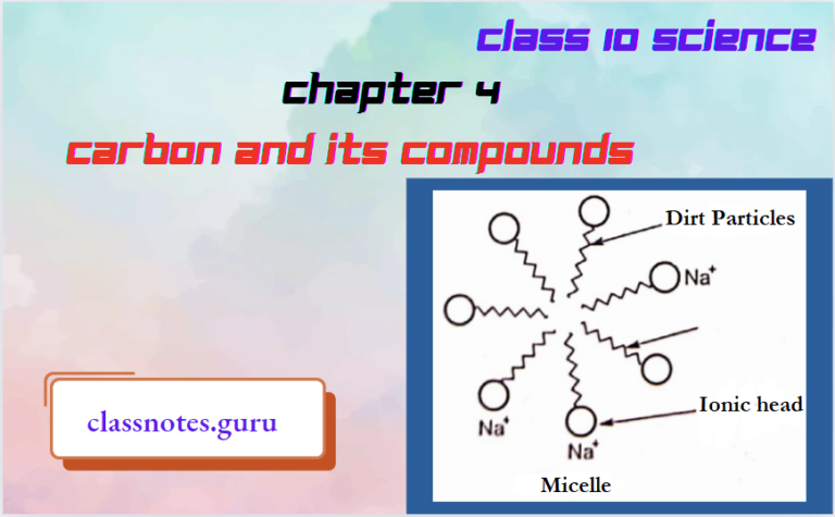 NCERT Solutions For Class 10 Science Chapter 4 Carbon And Its Compounds ...
