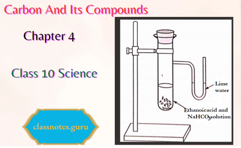 NCERT Solutions For Class 10 Science Chapter 4 Carbon And Its Compounds ...