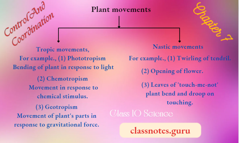 NCERT Solutions For Class 10 Science Chapter 7 Control and Coordination ...