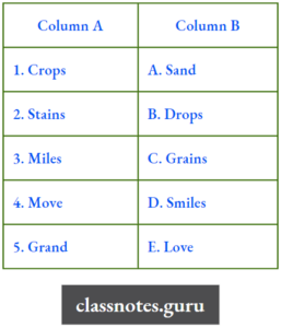 NCERT Class 2 English Mridang Solutions Chapter 12 Little Drops Of ...
