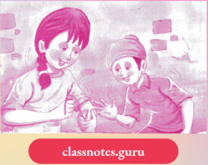 NCERT Class 2 English Mridang Solutions Chapter 2 Picture Reading ...