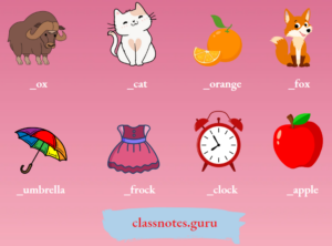 NCERT Class 2 English Mridang Solutions Chapter 4 Seeing Without Seeing ...