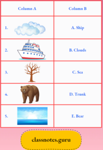 NCERT Class 2 English Mridang Solutions Chapter 8 A Show Of Clouds ...