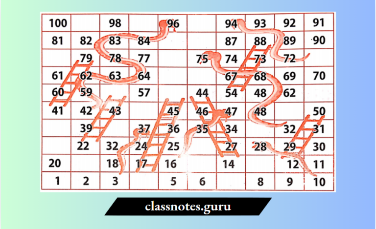 NCERT Class 3 Maths Mela Chapter 3 Question Answer Double Century ...