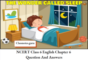 NCERT Class 6 English Chapter 6 The Wonder Called Sleep Question And ...