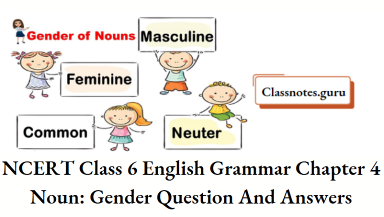 Noun Gender Exercises Answers Class 6 NCERT – English