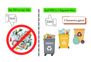 NCERT Class 6 English Letter Writing - Class Notes