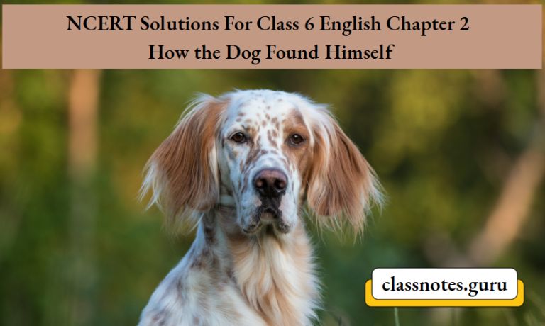NCERT Solutions For Class 6 English Chapter 2 How the Dog Found Himself ...