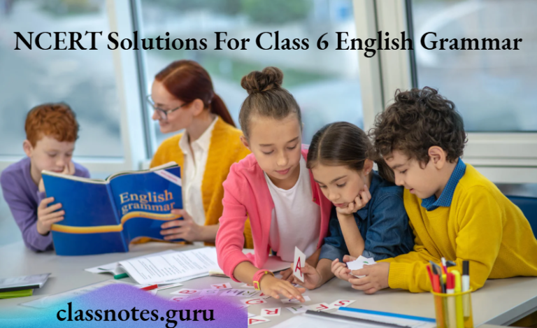 NCERT Solutions For Class 6 English Grammar - Class Notes
